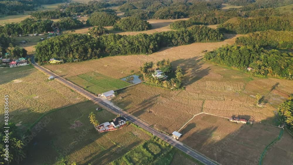 Vídeo do Stock: Farm cottages at rice paddy terrace fields aerial ...