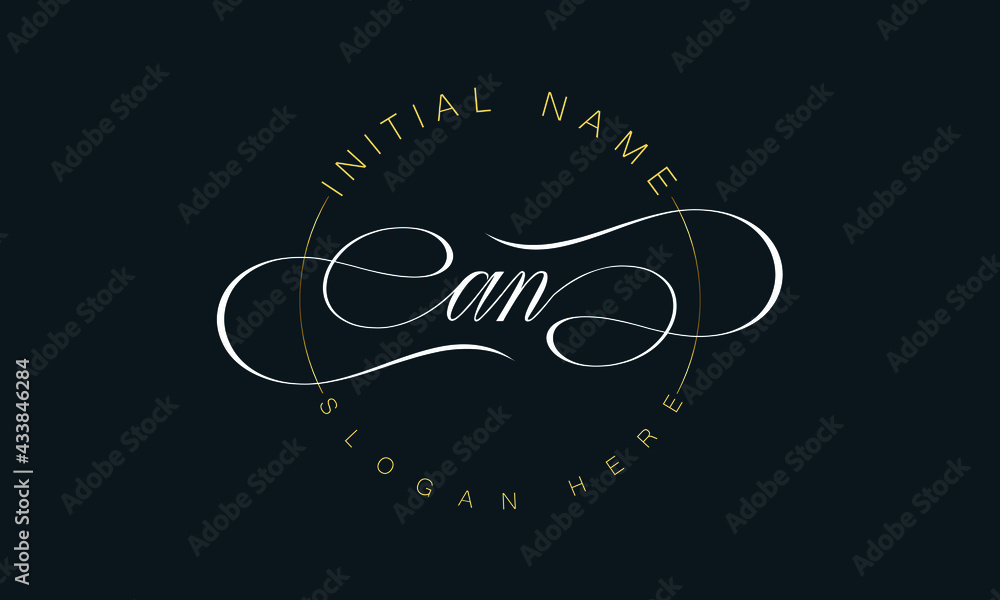AN/NA cursive letter stylish luxury logo in golden and white color, AN ...