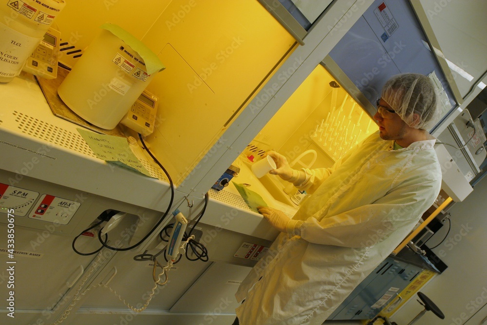 Scientist in research laboratory in yellow light under clean room ...