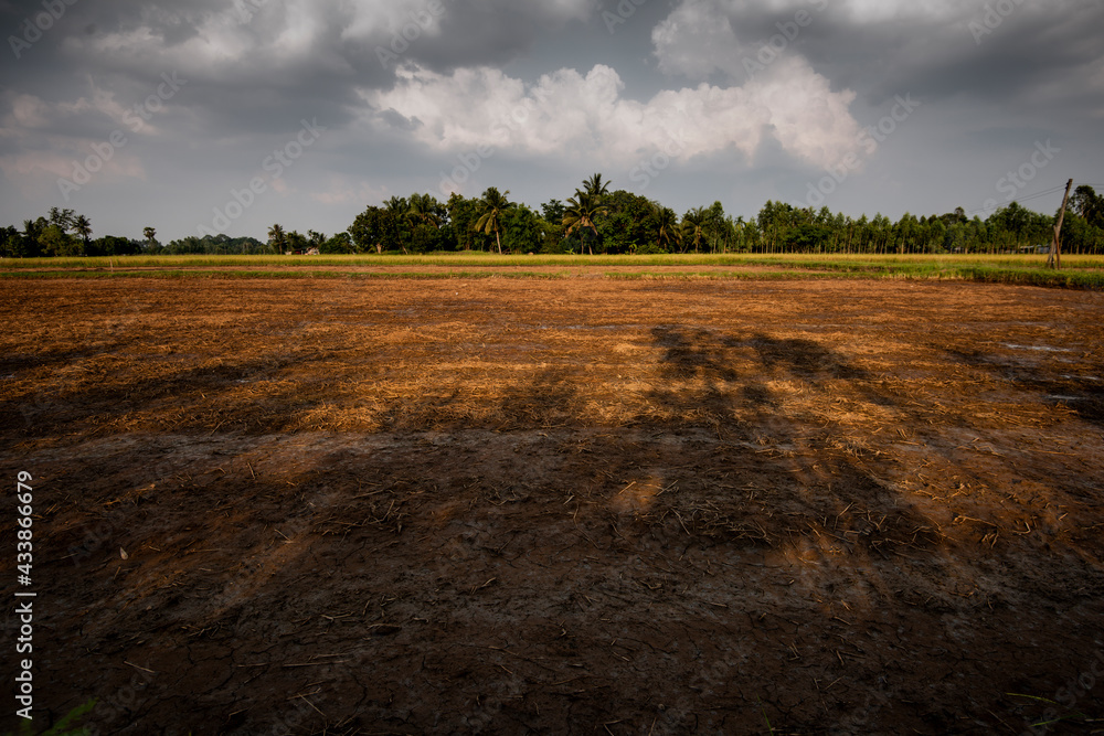 Newly ploughed rice field waiting for first rain fall in rainy season ...