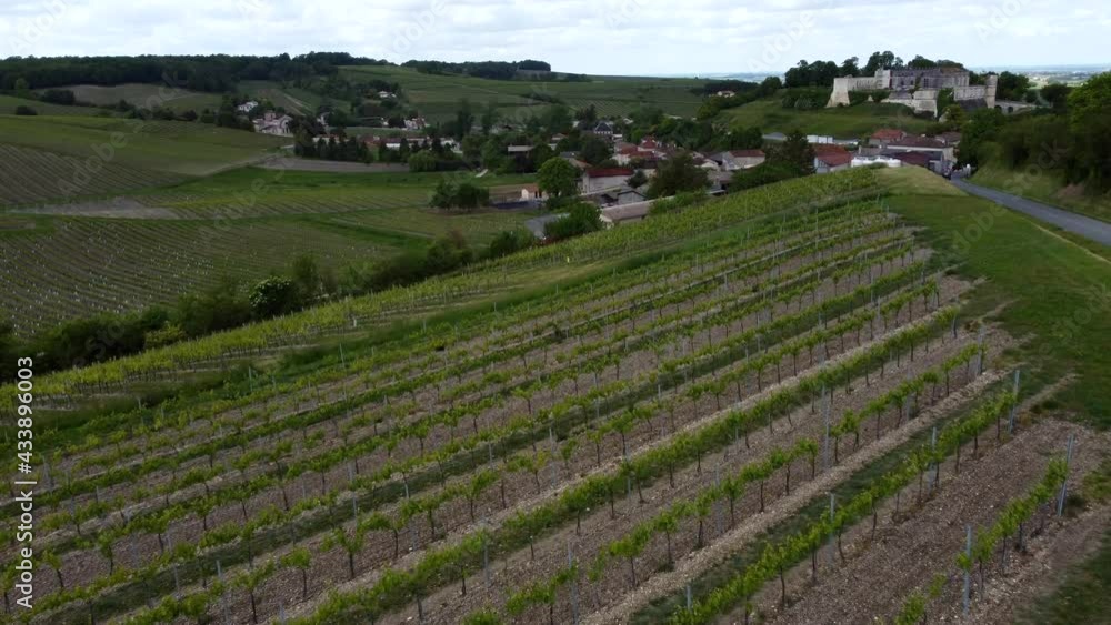 AERIAL VIEW CHARENTES, REGION OF COGNAC, VINEYARDS OF COGNAC NEAR ...
