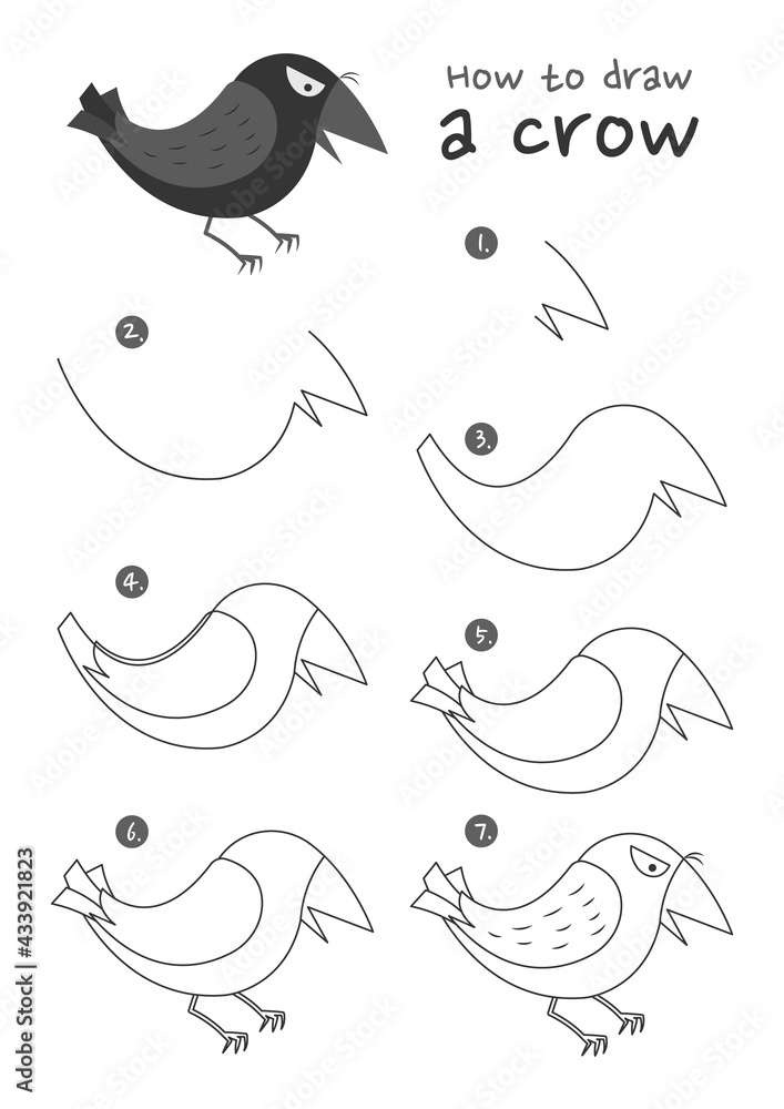 How to draw a crow bird vector illustration. Draw a crow step by step ...
