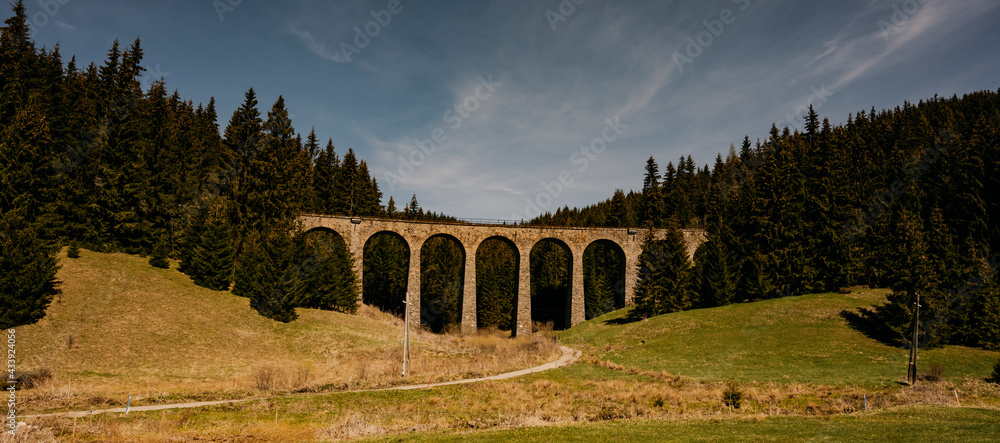 Historic railway viaduct situated in the forest near Telgart in ...