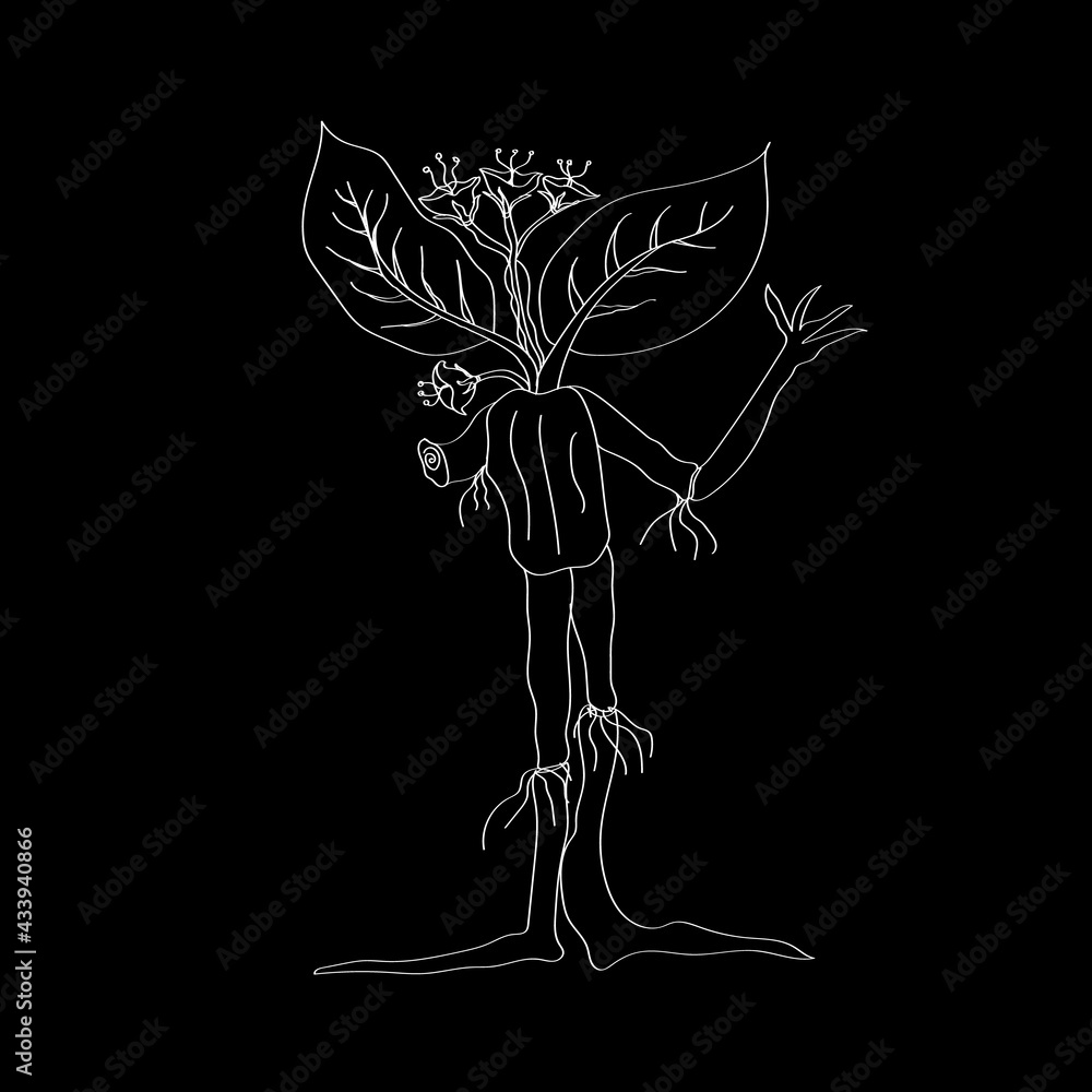 Siren head nature legend mythology creature concept in line art ...