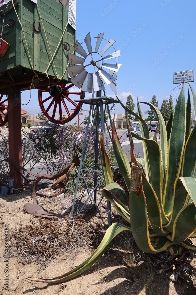 Windmill Garden with Wagon Wheels and Century Plants Displaying a ...