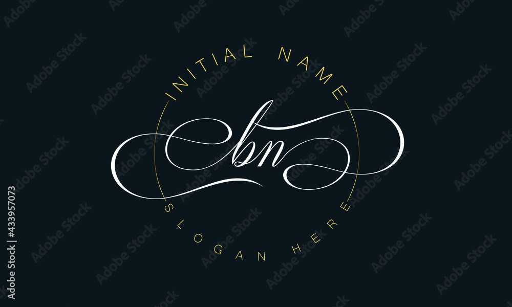 BN/NB cursive letter stylish luxury logo in golden and white color, BN ...