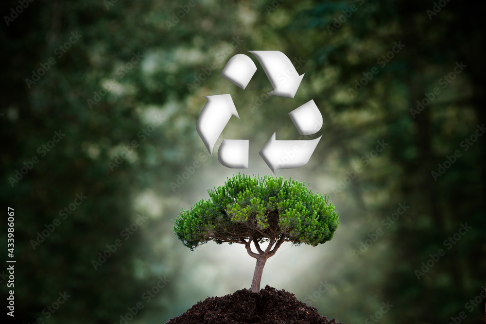 tree in the forest with renewable and sustainability sign Stock Photo ...