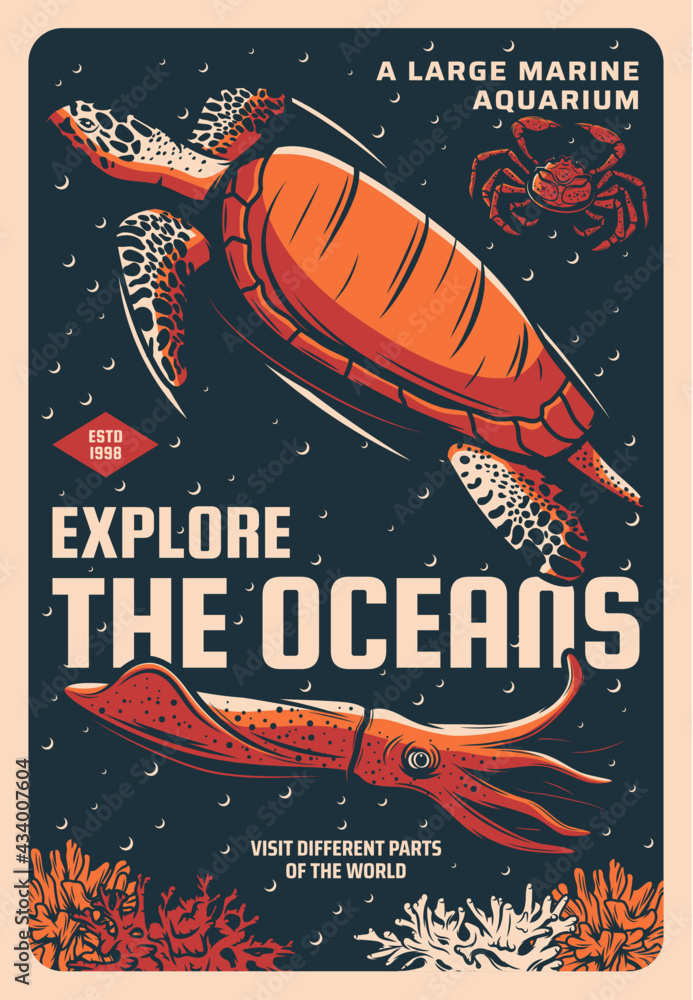 Sea turtle, stone crab and giant squid in marine aquarium sketch vector ...