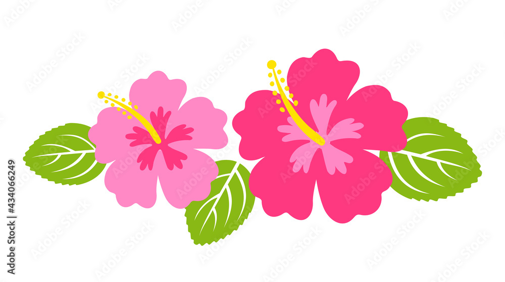 Vetor de Hawaiian hibiscus flowers, tropical bouquet do Stock | Adobe Stock