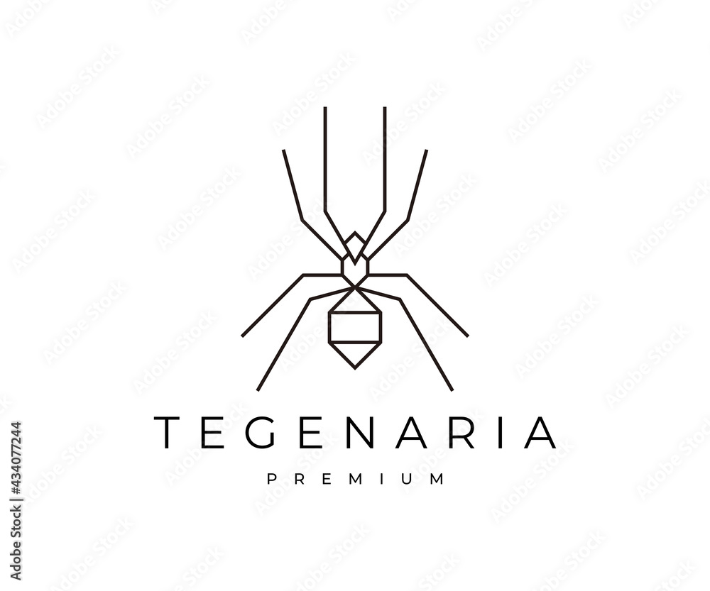 Vecteur Stock Geometric Line Art Style of Tegenaria Spider Tarantula ...