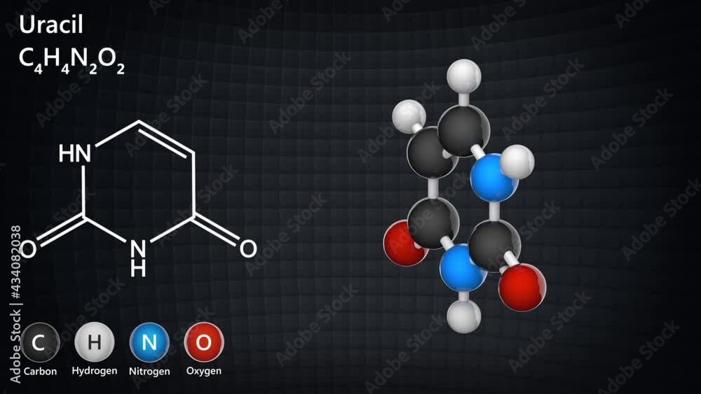 Uracil. Nitrogenous base molecular structure (DNA and RNA parts). Formula: C4H4N2O2. 3D render ...