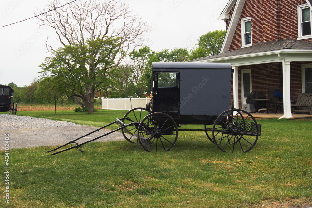 Black Buggy on Green Grass with Brick Home Partly Showing Sky in ...