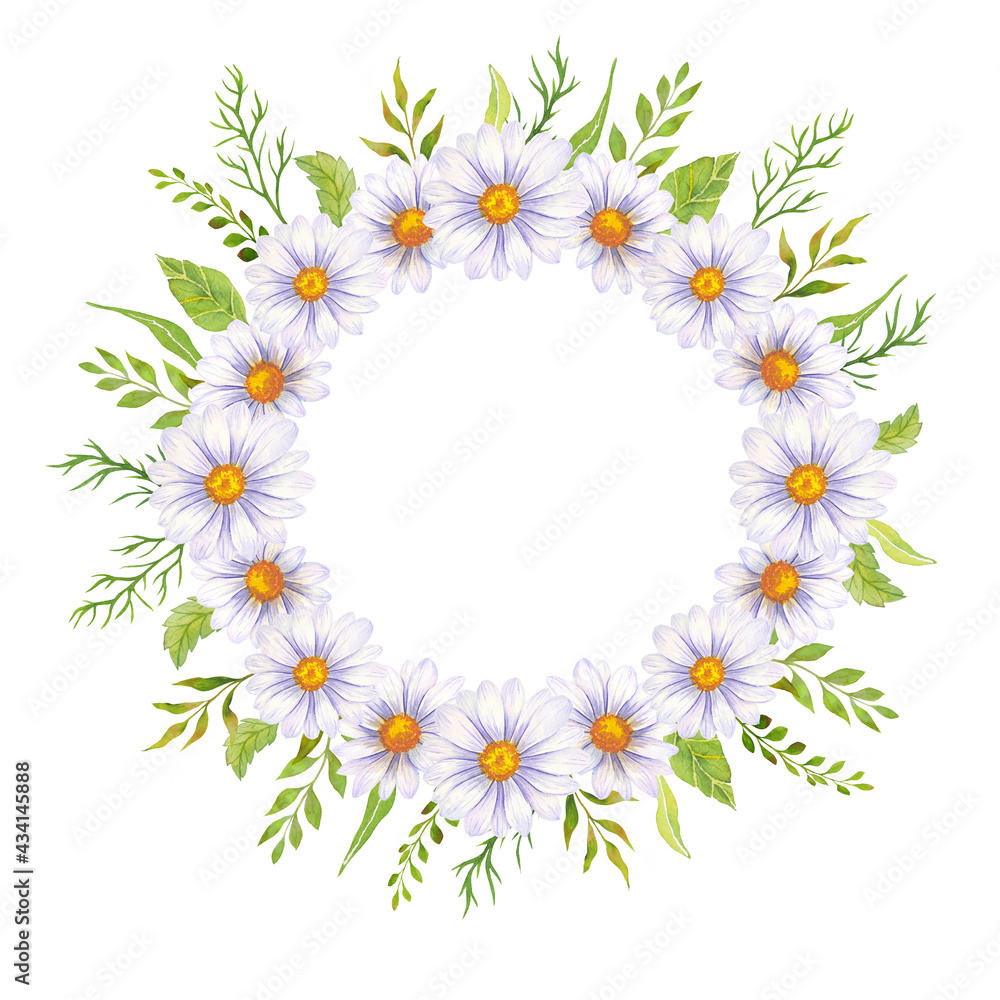 Floral Wreath with daisy and Leaves. Watercolor daisy wreath. White ...