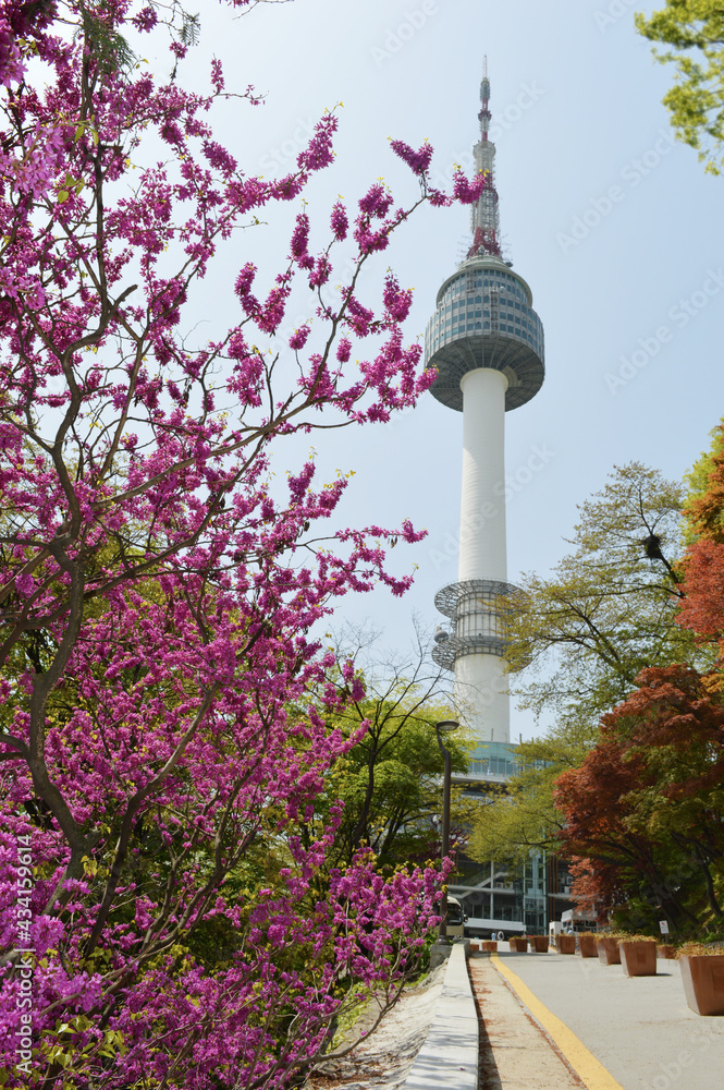 Entrance to Namsan Tower in Seoul, South Korea Stock Photo | Adobe Stock