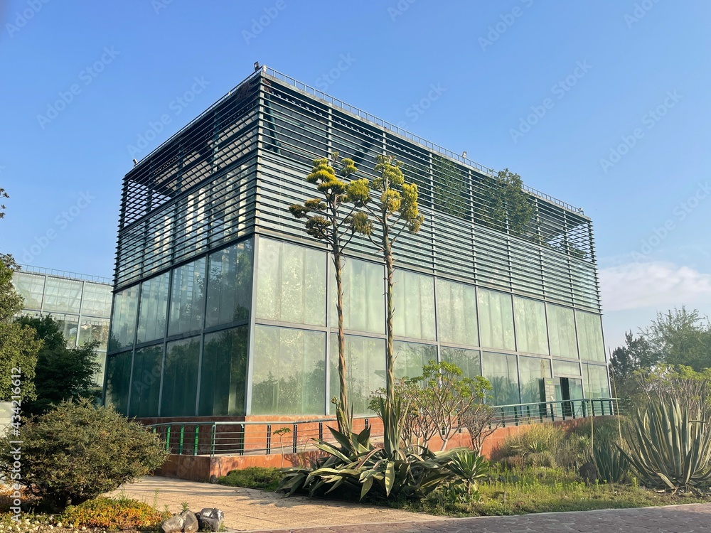 Invernadero En El Jardín Botánico Del Parque Bicentenario Ciudad De