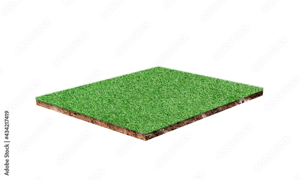 Soil cubic geology cross section with green grass field isolated on ...