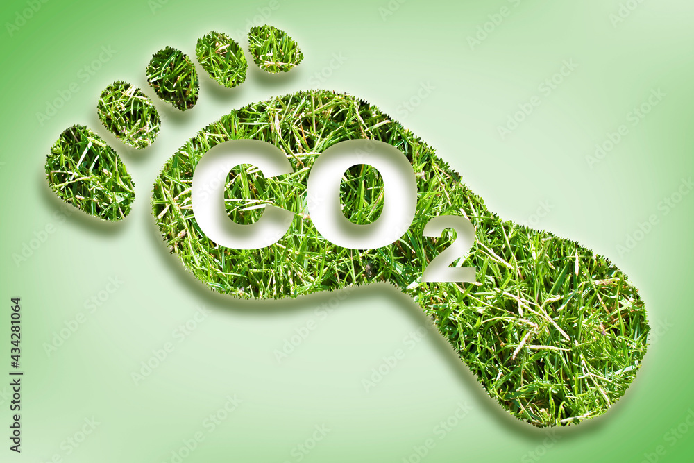 Foto de Carbon footprint concept image with CO2 text against footprint ...