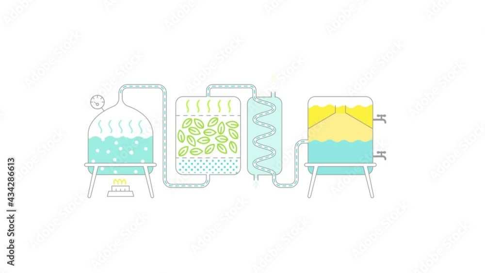 Distillation animation process. Motion graphics. Essential oil making ...