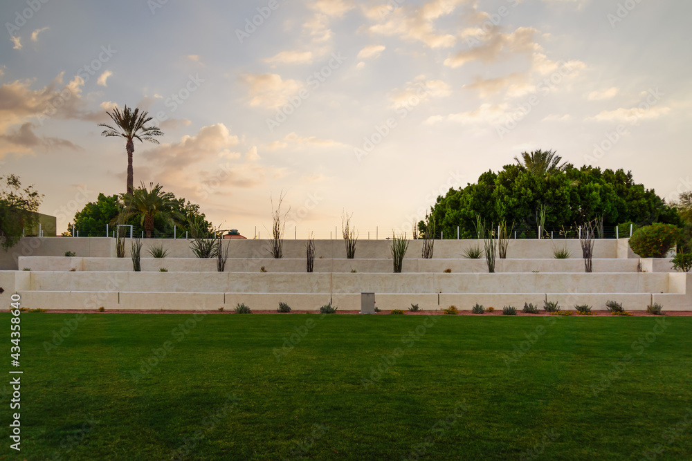 Modern desert landscaping, featuring tall, sparse desert plants at ...