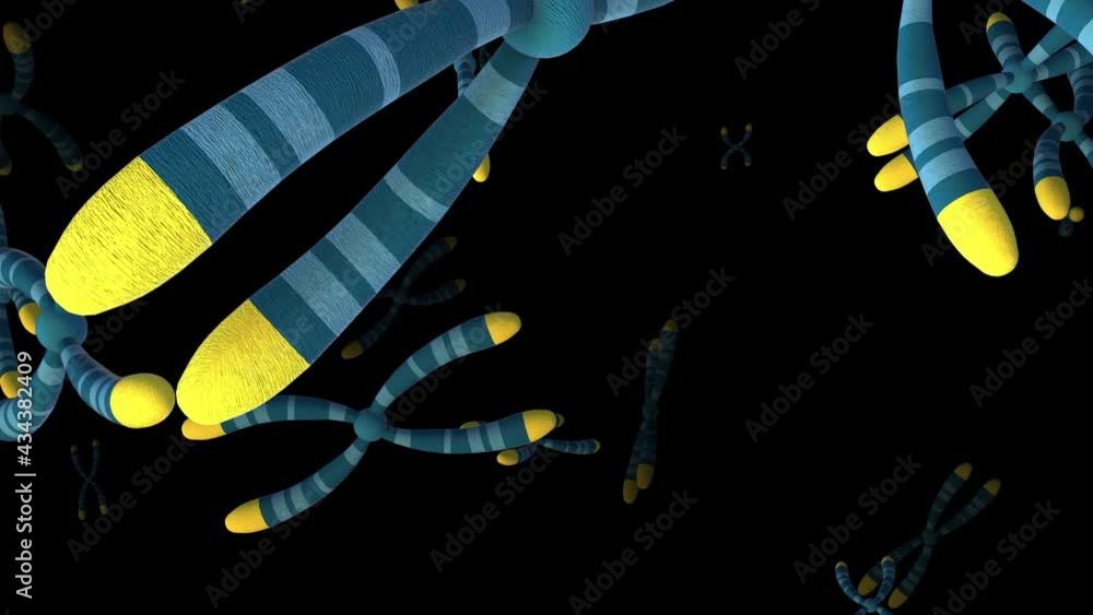 chromosome-x - rotation background - 3d animation model on a black ...