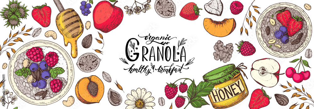 Granola ingredients illustration. Oat flakes , berries, fruits and nuts ...