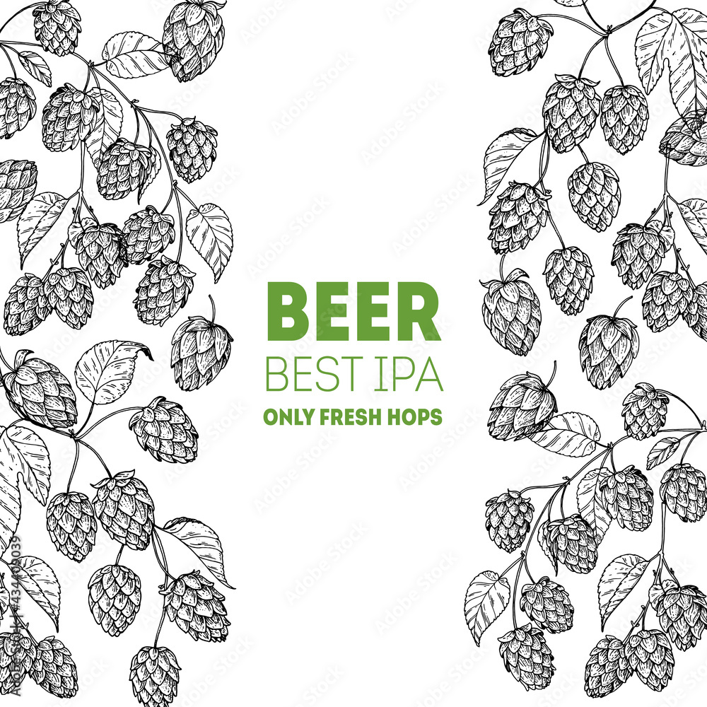 Hops sketch illustration. Hand drawn design with hops. Beer ingredients ...