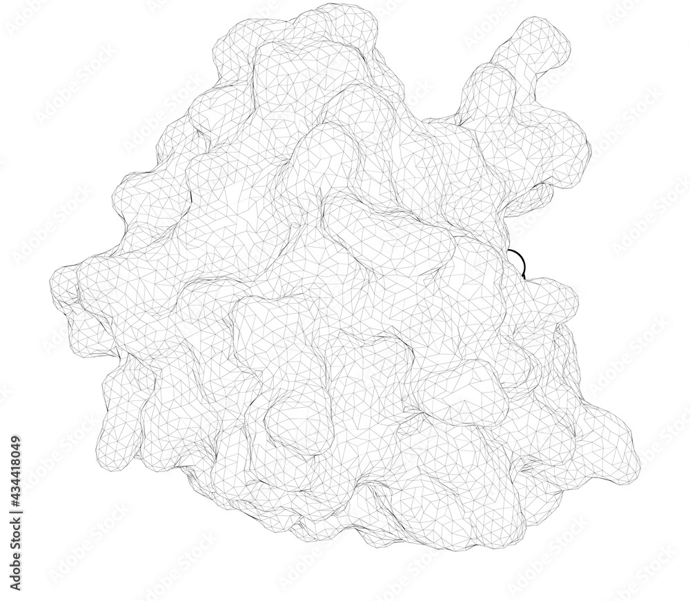 3D rendering as a line drawing of a molecule. Enzymological and ...