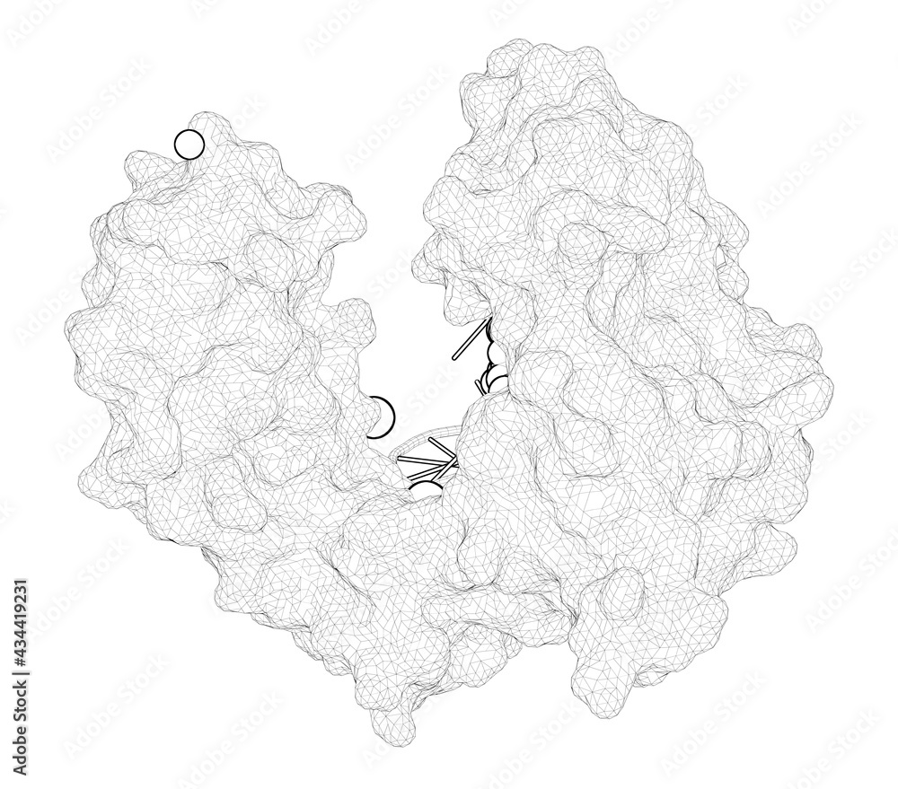 3D rendering as a line drawing of a molecule. Characterization of the ...