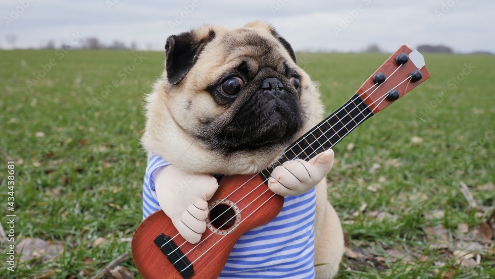 Pugs In Funny Costumes