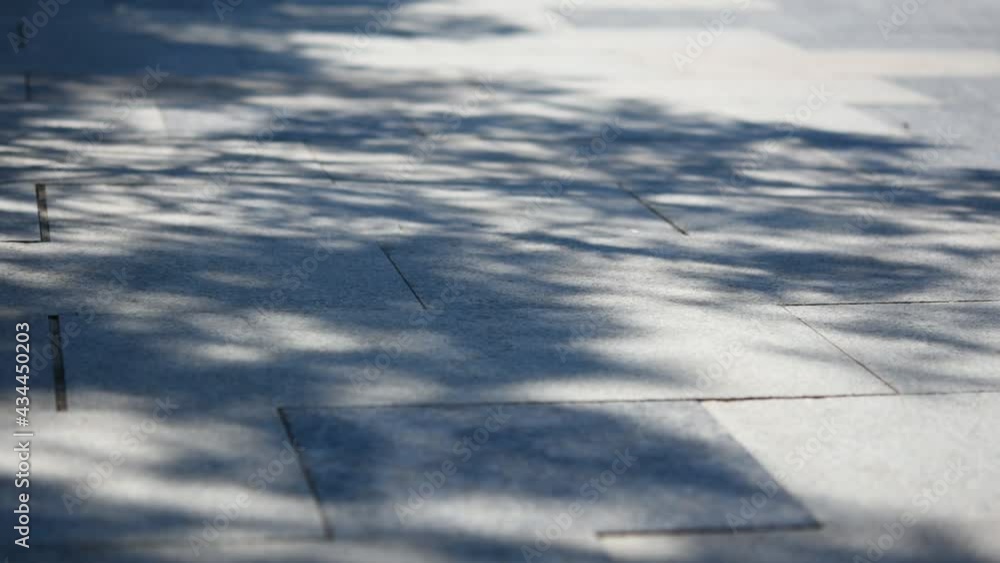 Vidéo Stock Shadows tree sidewalk. Natural abstract background of gray ...