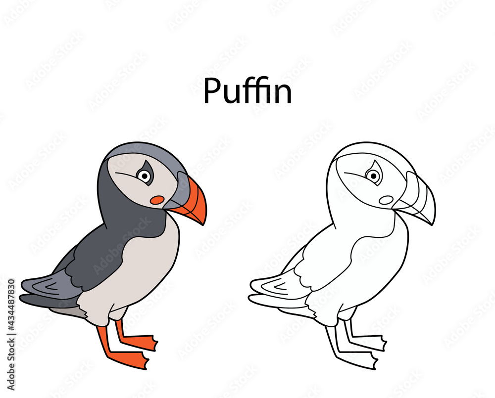 Funny cute bird puffin isolated on white background. Linear, contour ...