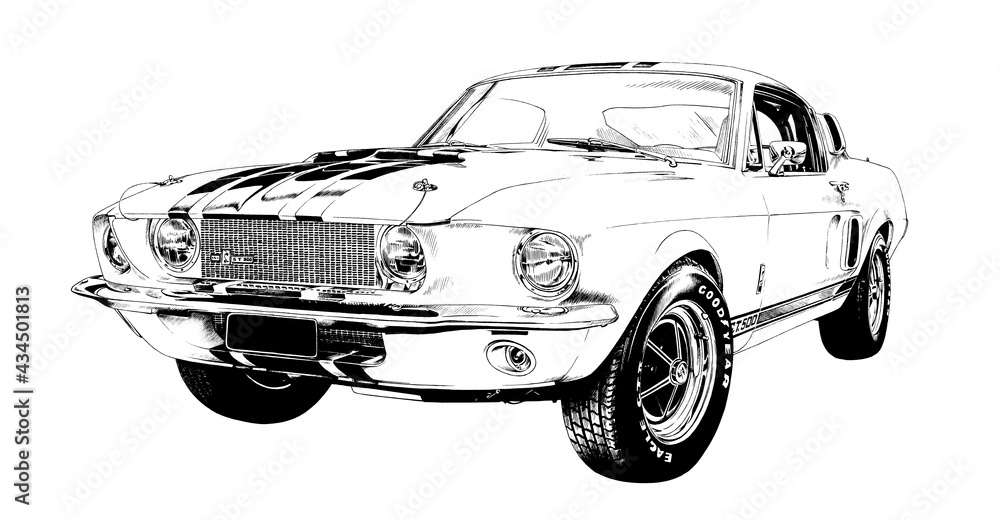 Shelby Mustang 1967 Drawing