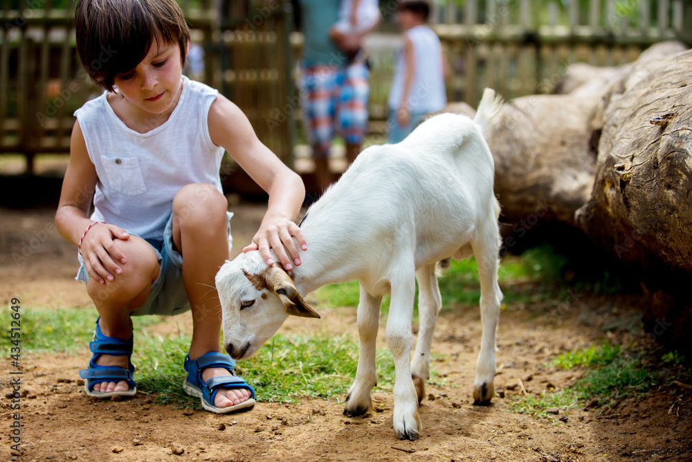 Preschool boy, petting little goat in the kids farm. Cute kind child ...