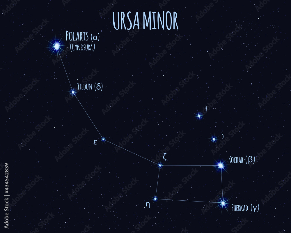 Little Bear Constellation