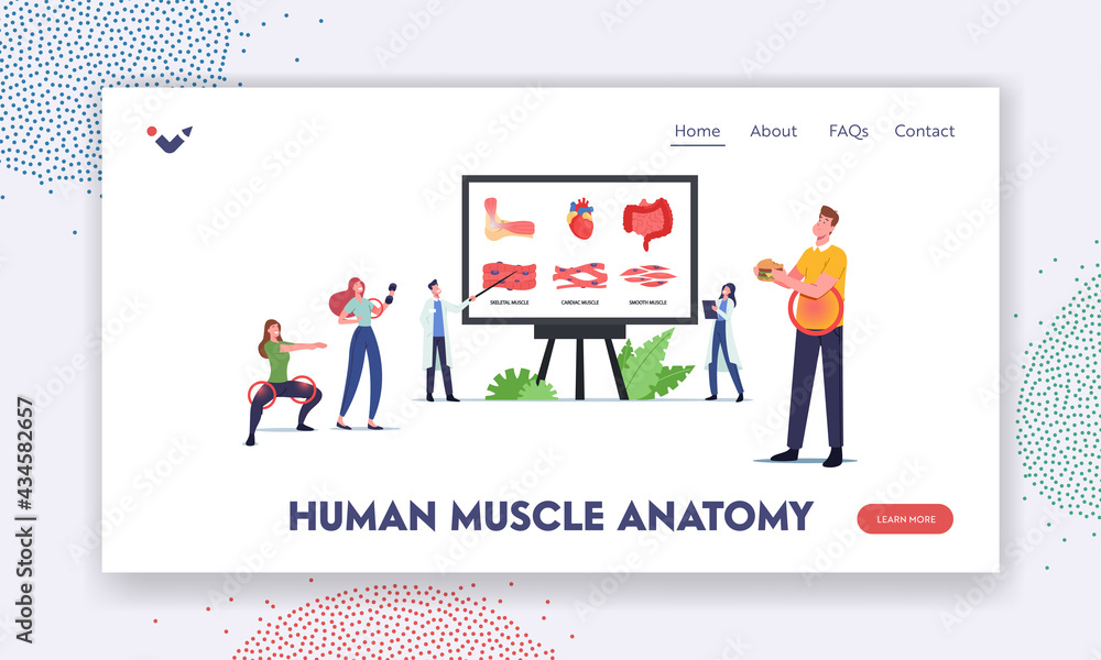 Human Muscle Anatomy Landing Page Template. Characters at Board with ...