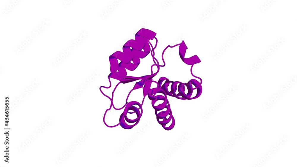 360º 3D rendering of a biological molecule. Structure of H/ACA RNP ...