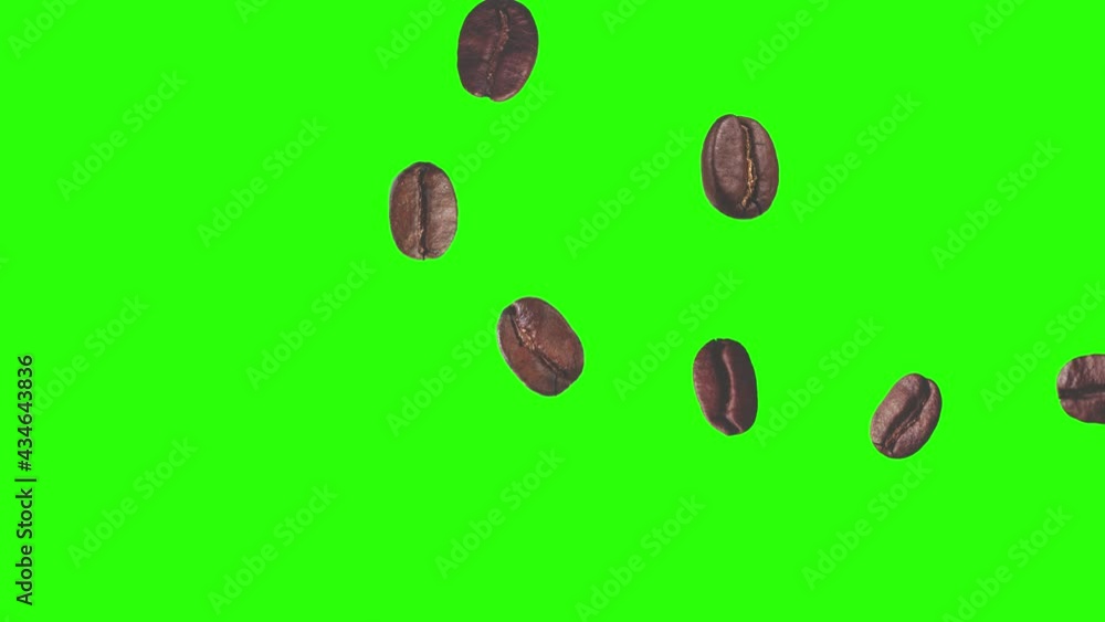 Realistic coffee beans animation graphic element on green screen chroma ...