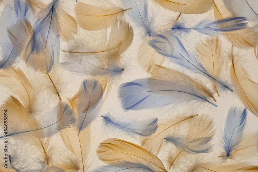 Feathers background in pastel colors. Blue and beige feathers texture ...