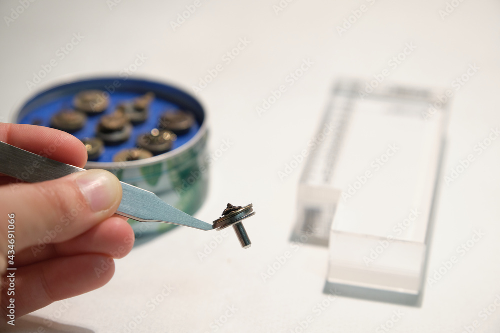 Scientific hand holding a tweezers with a scanning electron microscope ...