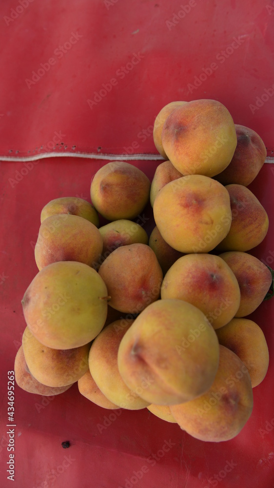The peach is a deciduous tree native to the region of Northwest China ...