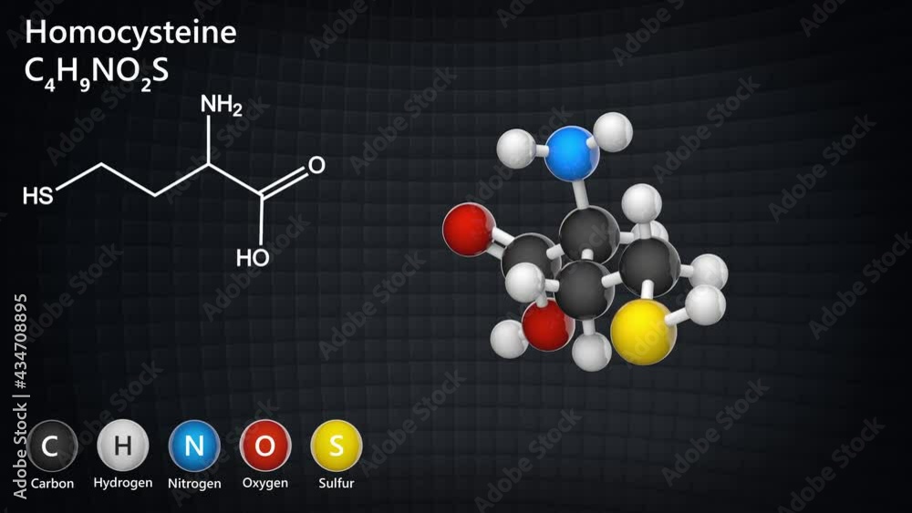 Chemical structure of homocysteine (Hcy) amino acid. Formula: C4H9NO2S ...