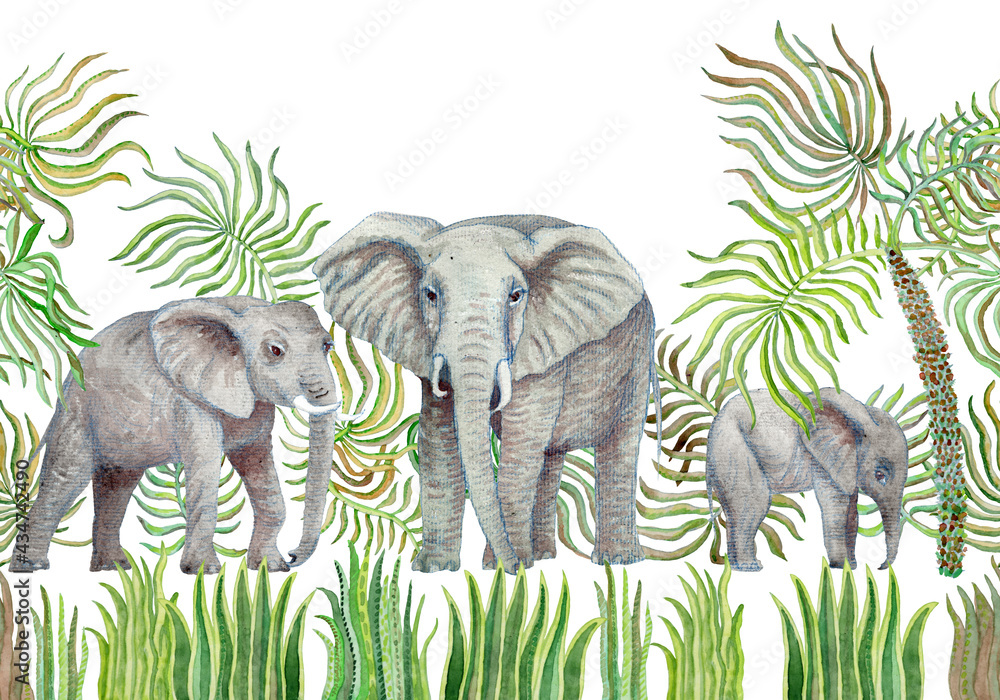 Seamless border pattern of watercolor savannah safari animals. Hand ...