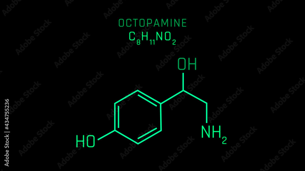 Octopamine also known as paraoctopamines Molecular Structure Symbol on ...
