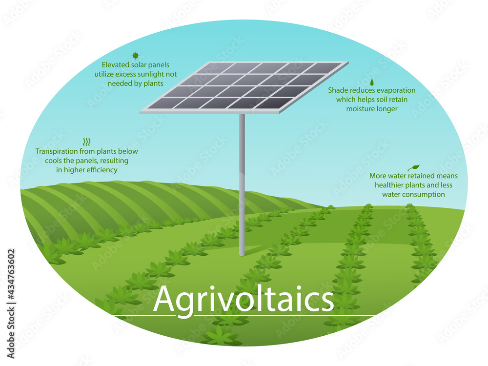 An informational graphic on the benefits of agrivoltaics, solar energy ...