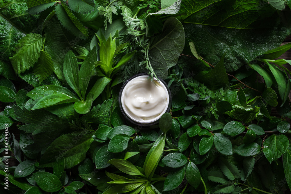 Cosmetic cream on green leaves Stock Photo | Adobe Stock