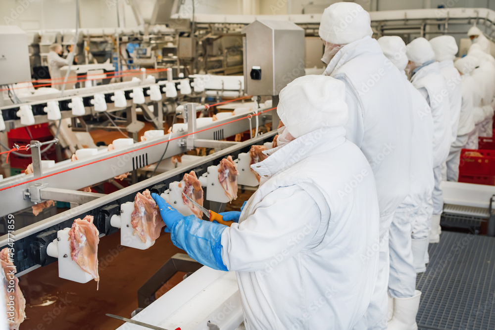 Modern Food Assembly Line