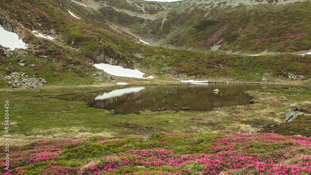 Varful Ineu - muntii rodnei Stock Photo | Adobe Stock