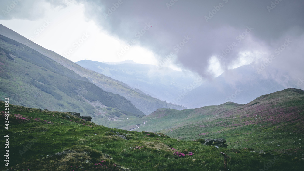 Varful Ineu - muntii rodnei Stock Photo | Adobe Stock