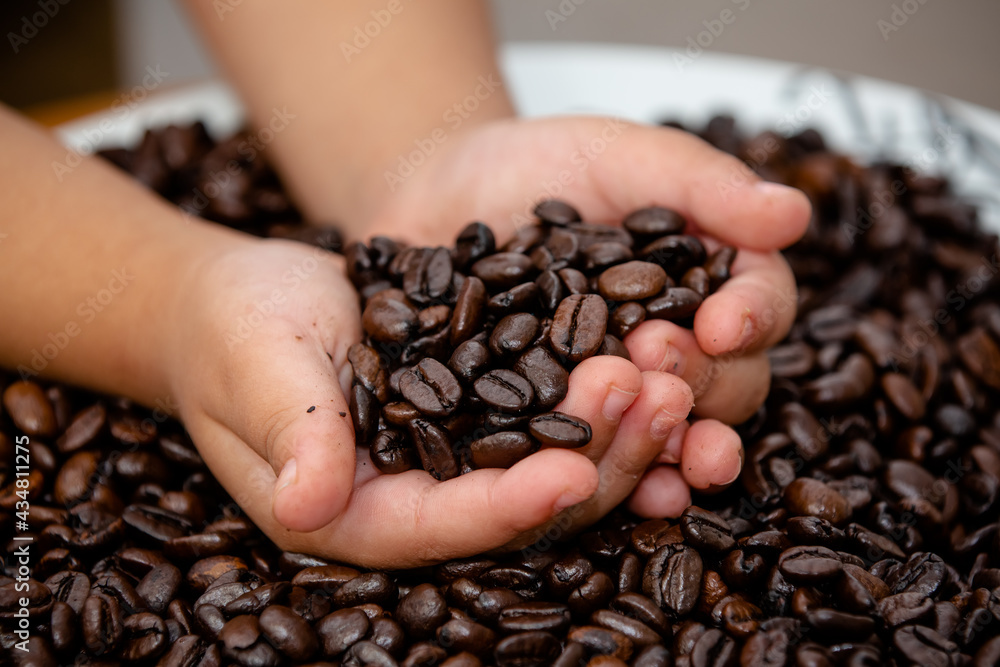 Grão de café sobre a mesa direto da fazenda lindo e cheiroso. Stock ...