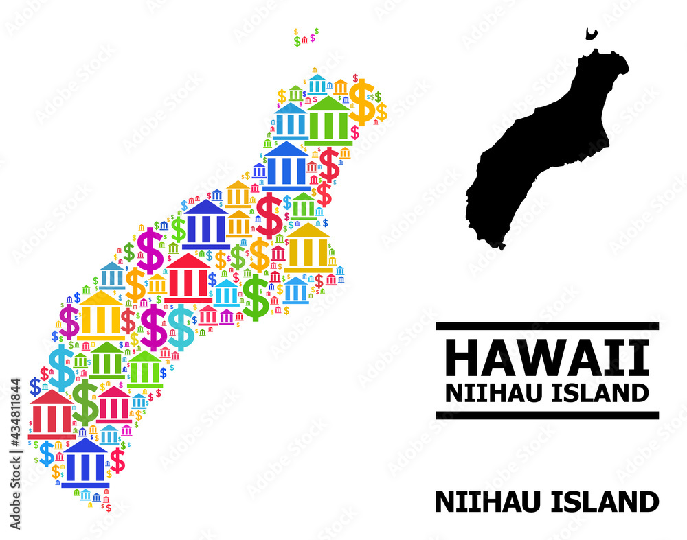 Bright colored financial and business mosaic and solid map of Niihau ...